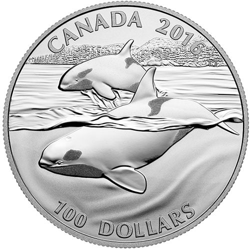 Buy 2016 Canadian Silver Orca Whale Coins Online l JM Bullion™