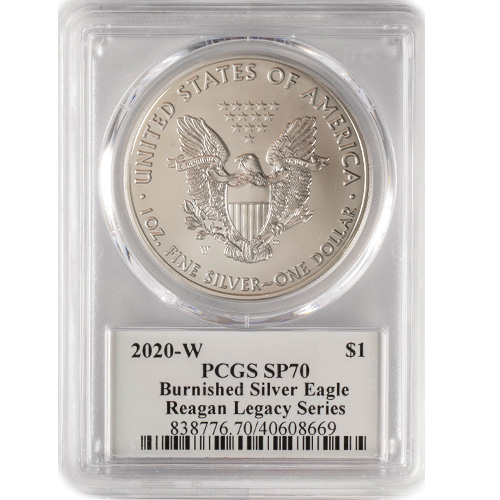 1 oz Burnished American Silver Eagle Coin SP70 l JM Bullion™